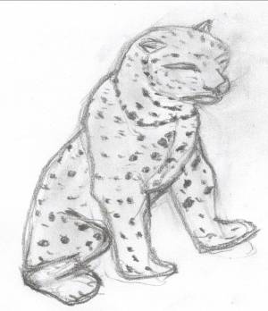 Bineensa Oromiyaa durii